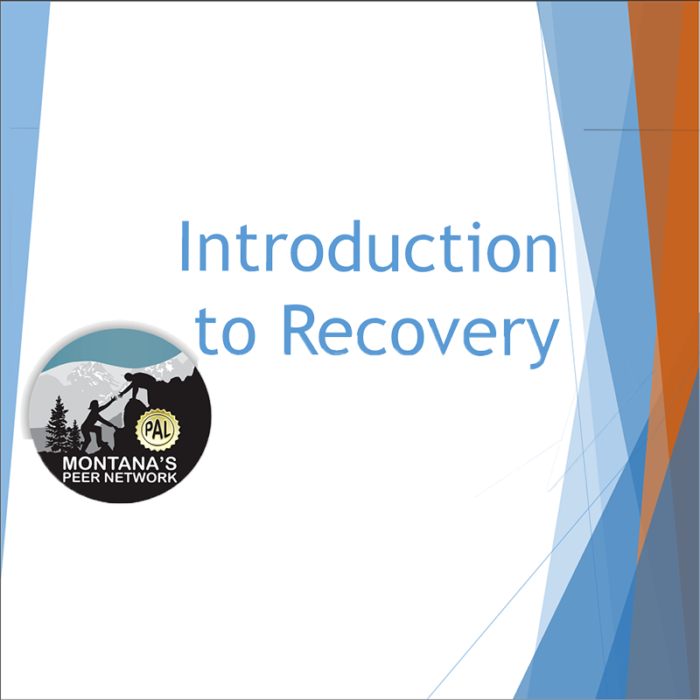 Intro to Recovery | Montana's Peer Network